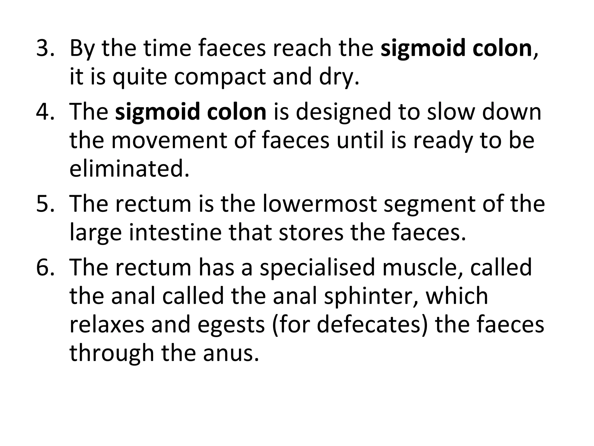 Formation of faeces and defecation | PPT