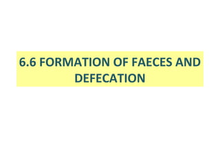 Formation of faeces and defecation | PPT