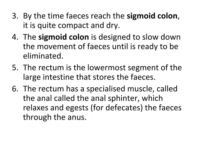 Formation of faeces and defecation | PPT