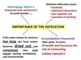 Formation of faeces and defecation | PPT
