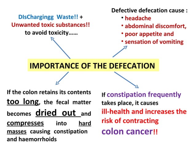 Formation of faeces and defecation | PPT