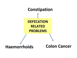 Formation of faeces and defecation | PPT