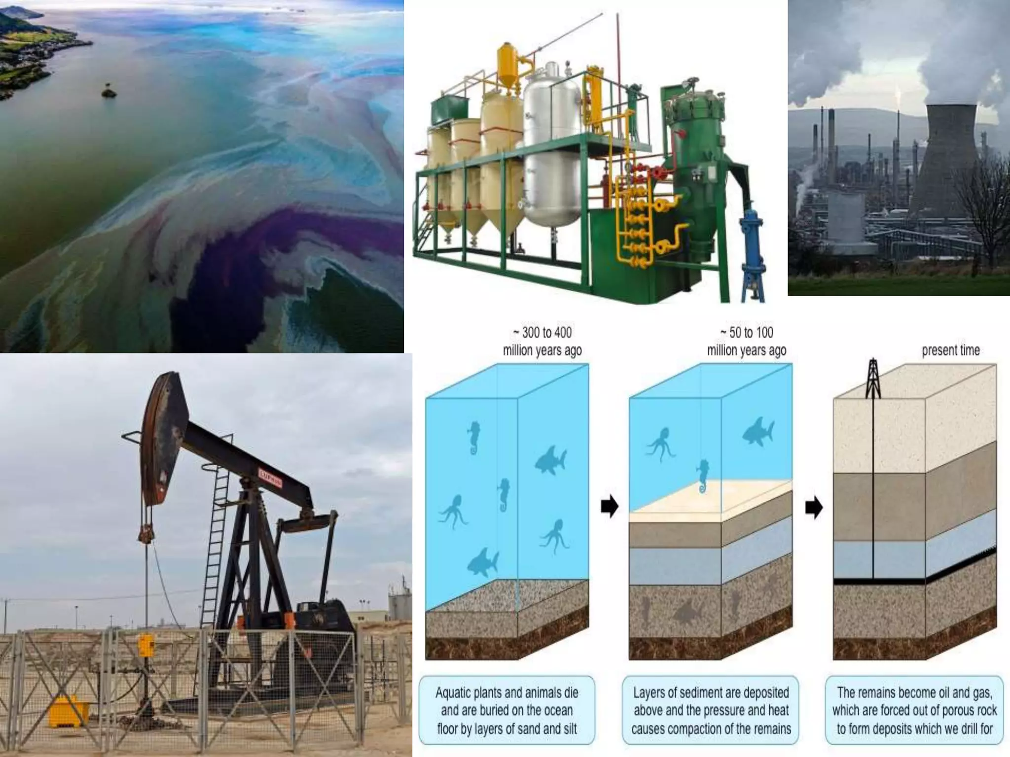 Formation of fossil fuels in the geological time scale ,energy and ...