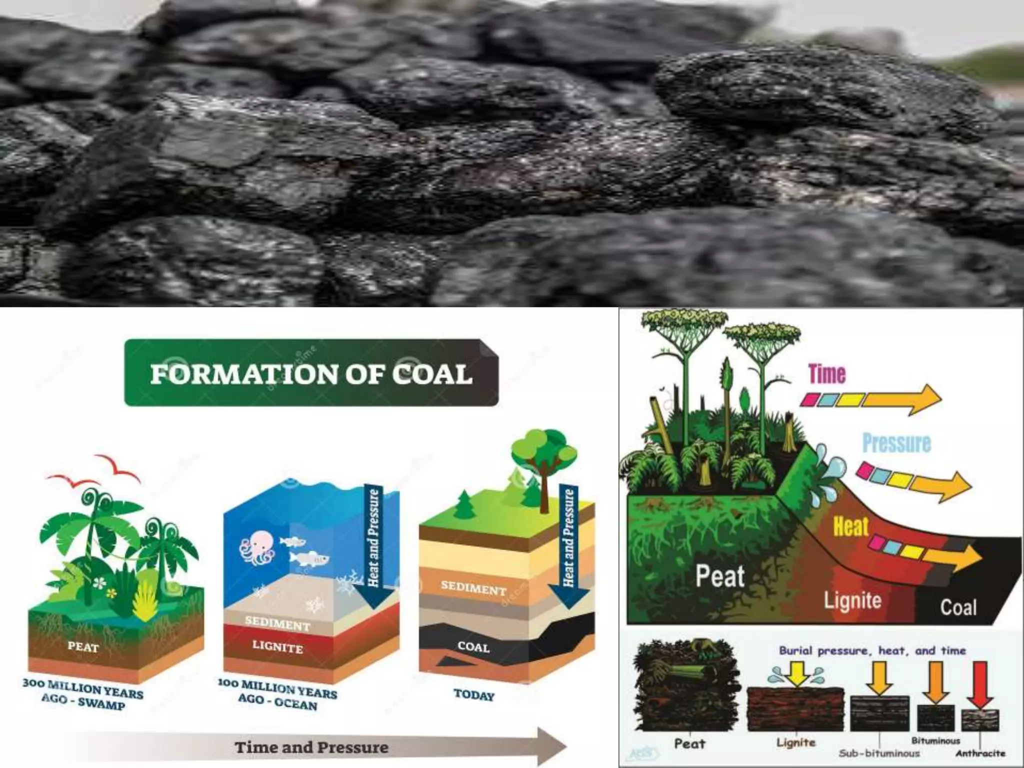 Formation of fossil fuels in the geological time scale ,energy and environment | PPT