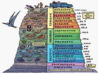 Fossil Fuel Formation Timeline