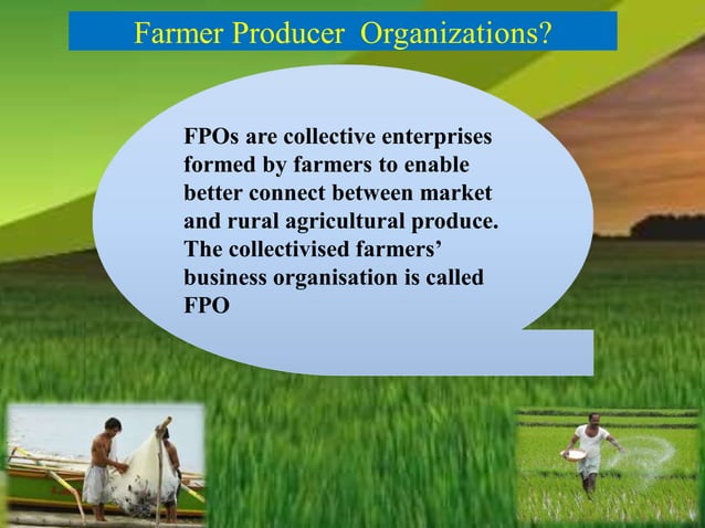 Formation of FPO.pdf