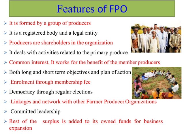 Formation of FPO.pdf