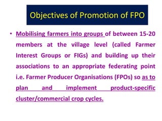 Formation of FPO.pdf