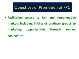Formation of FPO.pdf