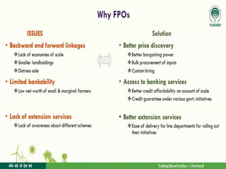 Formation of FPO.pdf