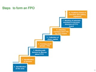 Formation of FPO.pdf