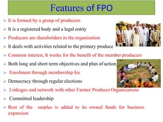 Formation of FPO.pdf