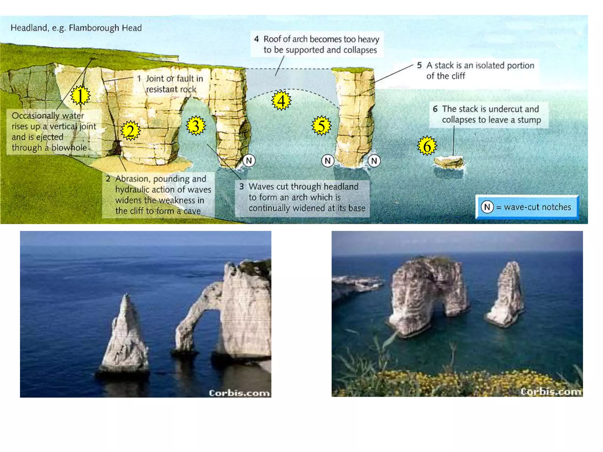 Formation of headlands and bays.ppt
