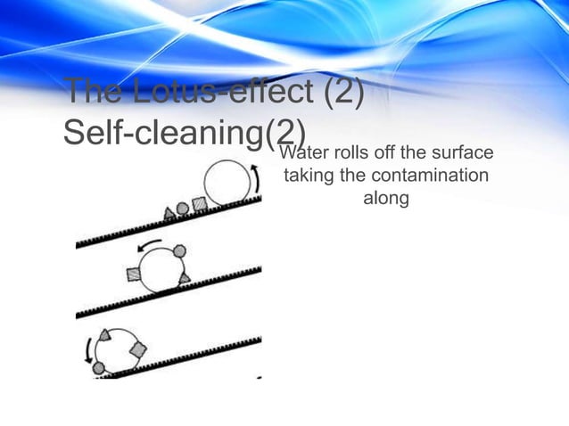 FORMATION OF HYDROPHOBIC MATERIALS | PPTX