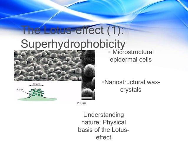 FORMATION OF HYDROPHOBIC MATERIALS | PPTX