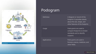Formation_of_ridges,_ridge_counting,_podogram[1].pptx | Free Download