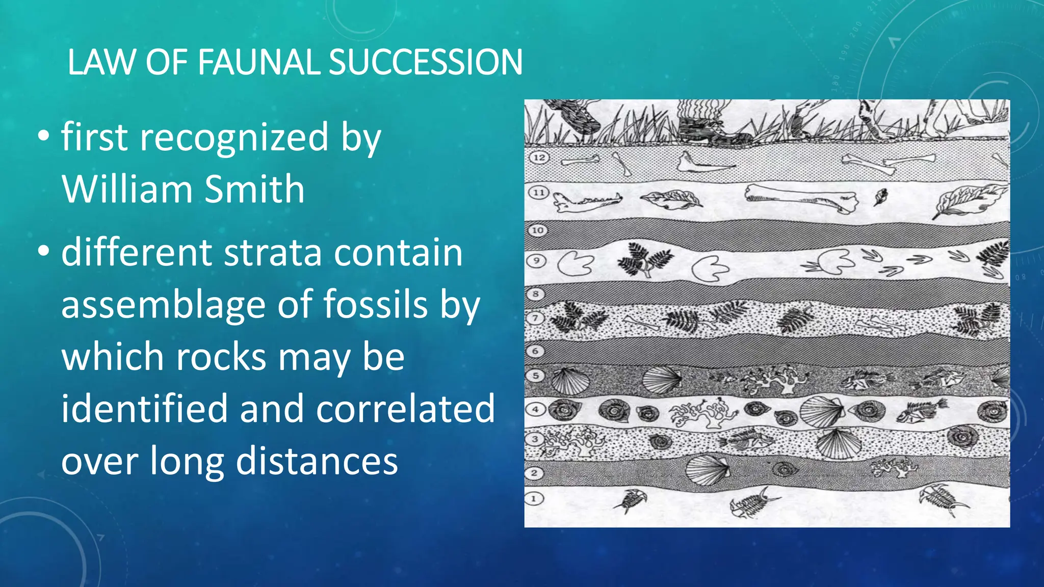 FORMATION OF ROCK LAYER.pptx