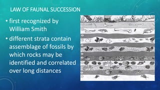 FORMATION OF ROCK LAYER.pptx