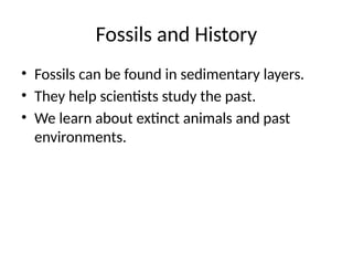 Formation_of_Rock_Layers_Presentation.pptx