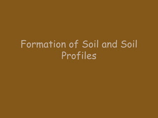 Formation Of Soil And Soil Types | PPT