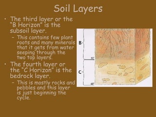 Formation Of Soil And Soil Types | PPT