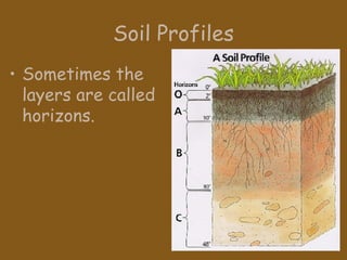 Formation Of Soil And Soil Types | PPT