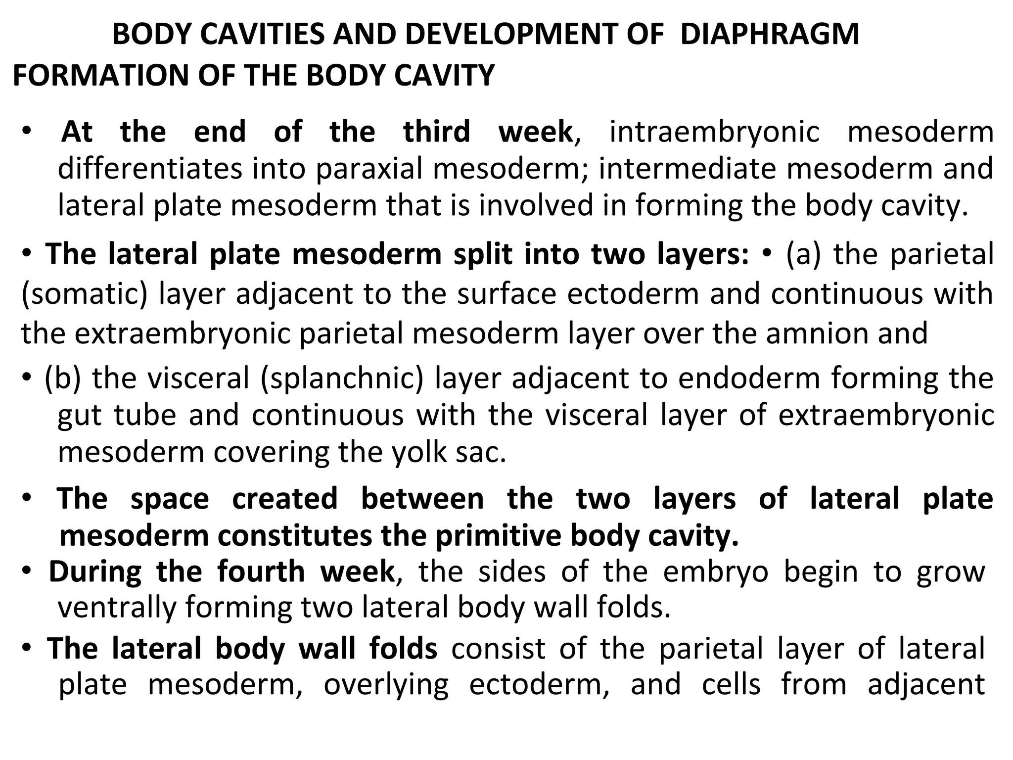 formationofthebodycavities-181216075936.docx