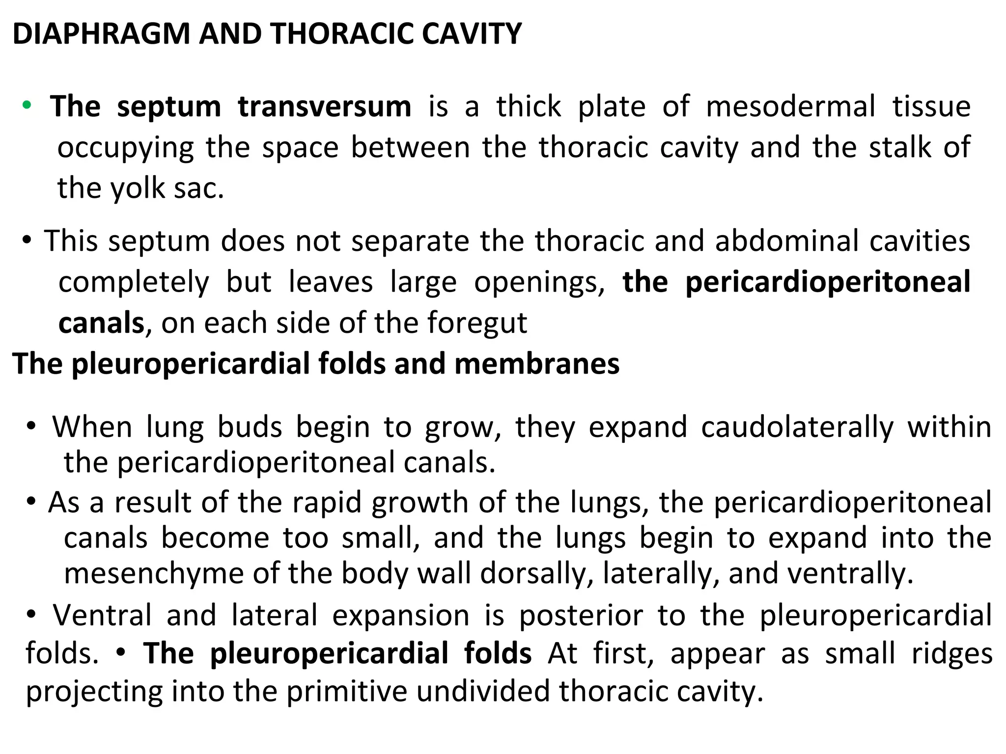formationofthebodycavities-181216075936.docx