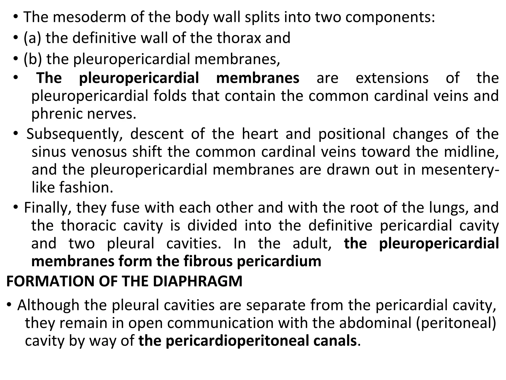 formationofthebodycavities-181216075936.docx