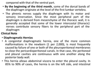 formationofthebodycavities-181216075936.docx
