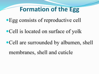 Formation of the egg | PPTX
