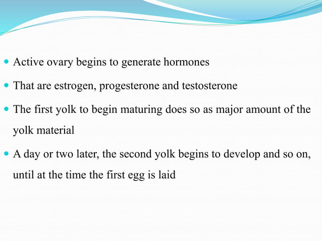 Formation of the egg | PPTX