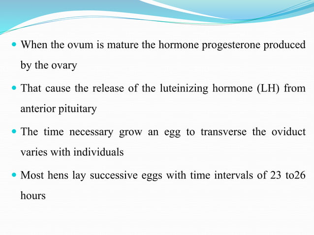 Formation of the egg | PPTX