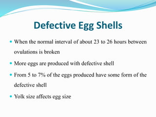 Formation of the egg | PPTX