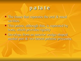 Formation of the palate | PPT