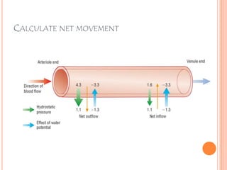 Formation of tissue fluid | PPTX