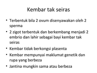 pembentukan kembar | PPT