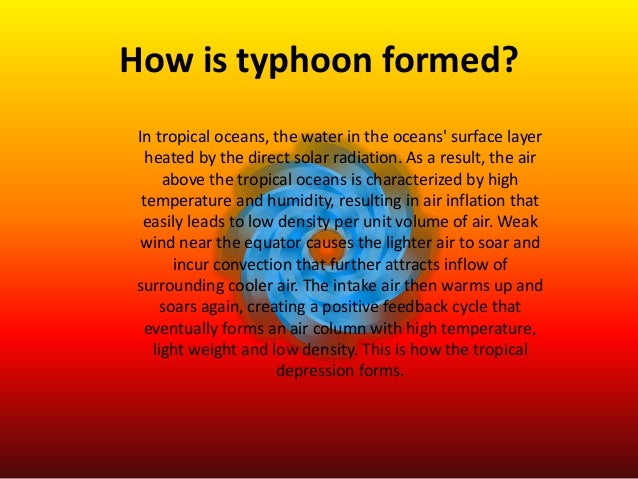 Formation of Typhoon