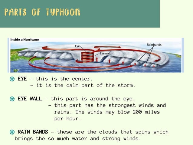 FORMATION OF TYPHOONS | PPTX