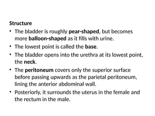 FORMATION OF URINE.pptx it is informative file about how urine is ...