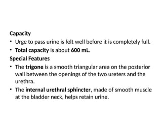 FORMATION OF URINE.pptx it is informative file about how urine is ...
