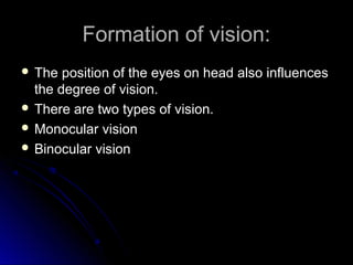 Formation of vision | PPT