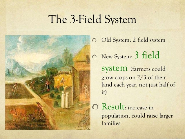 3 Field System In The Middle Ages