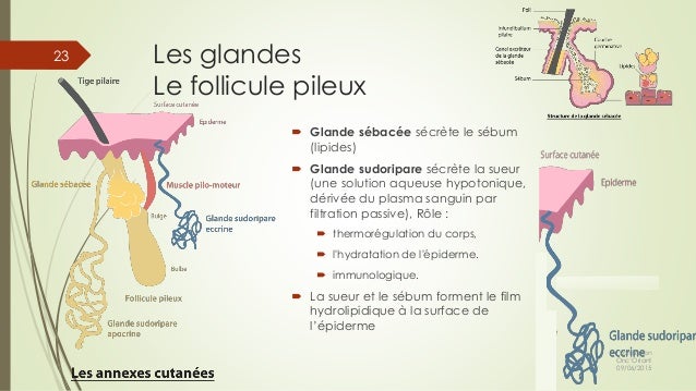 Formation onc'oriant 2015 06 09 leyrissoux copie
