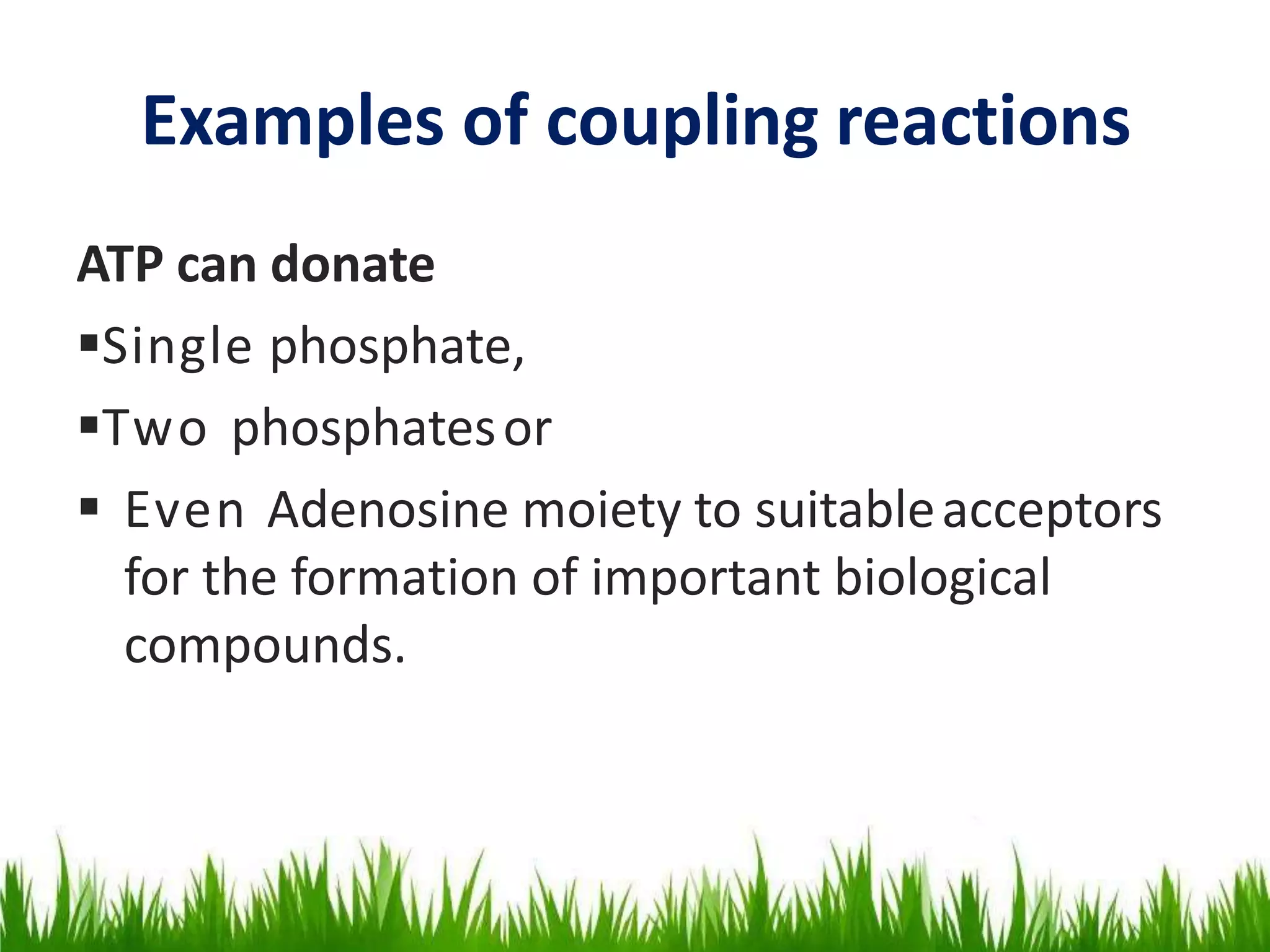 FORMATION & ROLE OF ATP, CREATINE PHOSPAHTE | PPTX