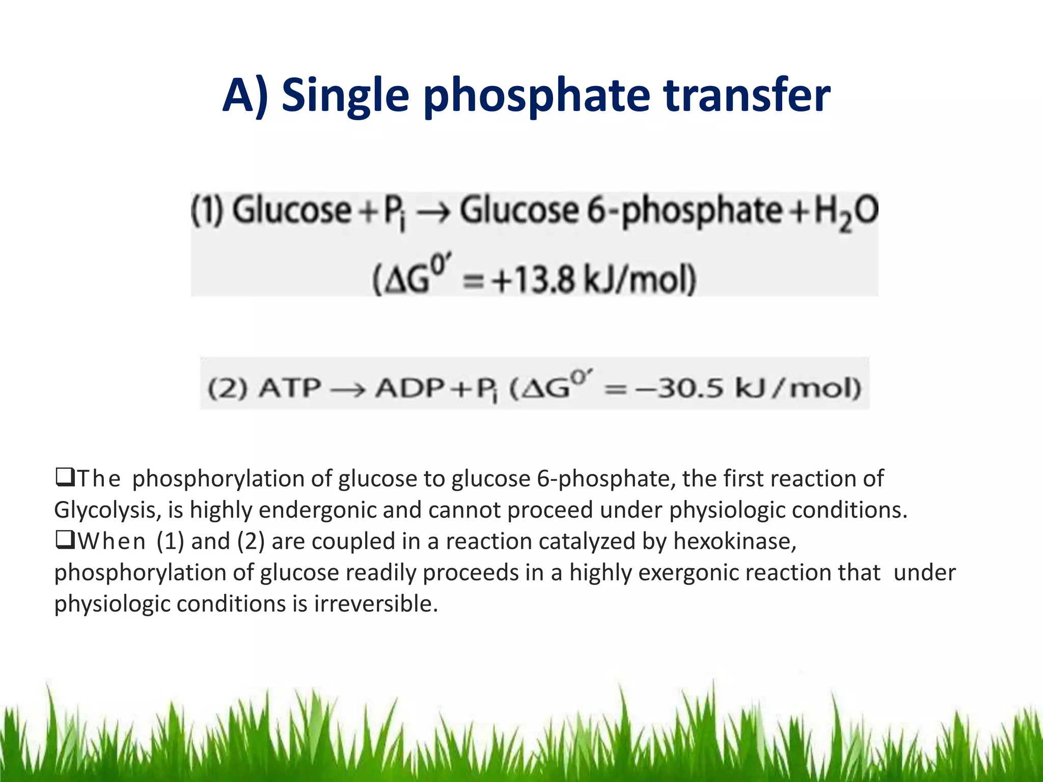 FORMATION & ROLE OF ATP, CREATINE PHOSPAHTE | PPTX