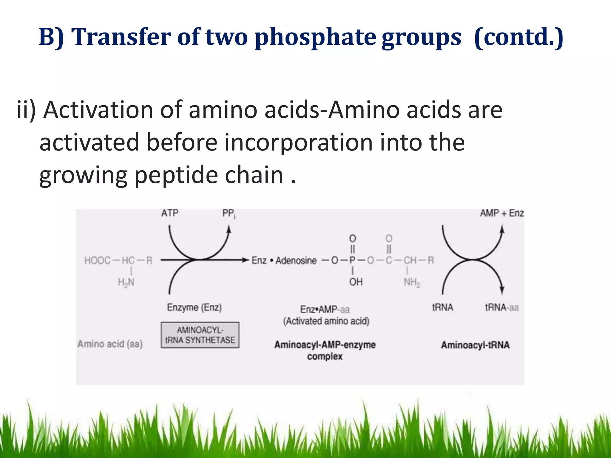 FORMATION & ROLE OF ATP, CREATINE PHOSPAHTE | PPTX