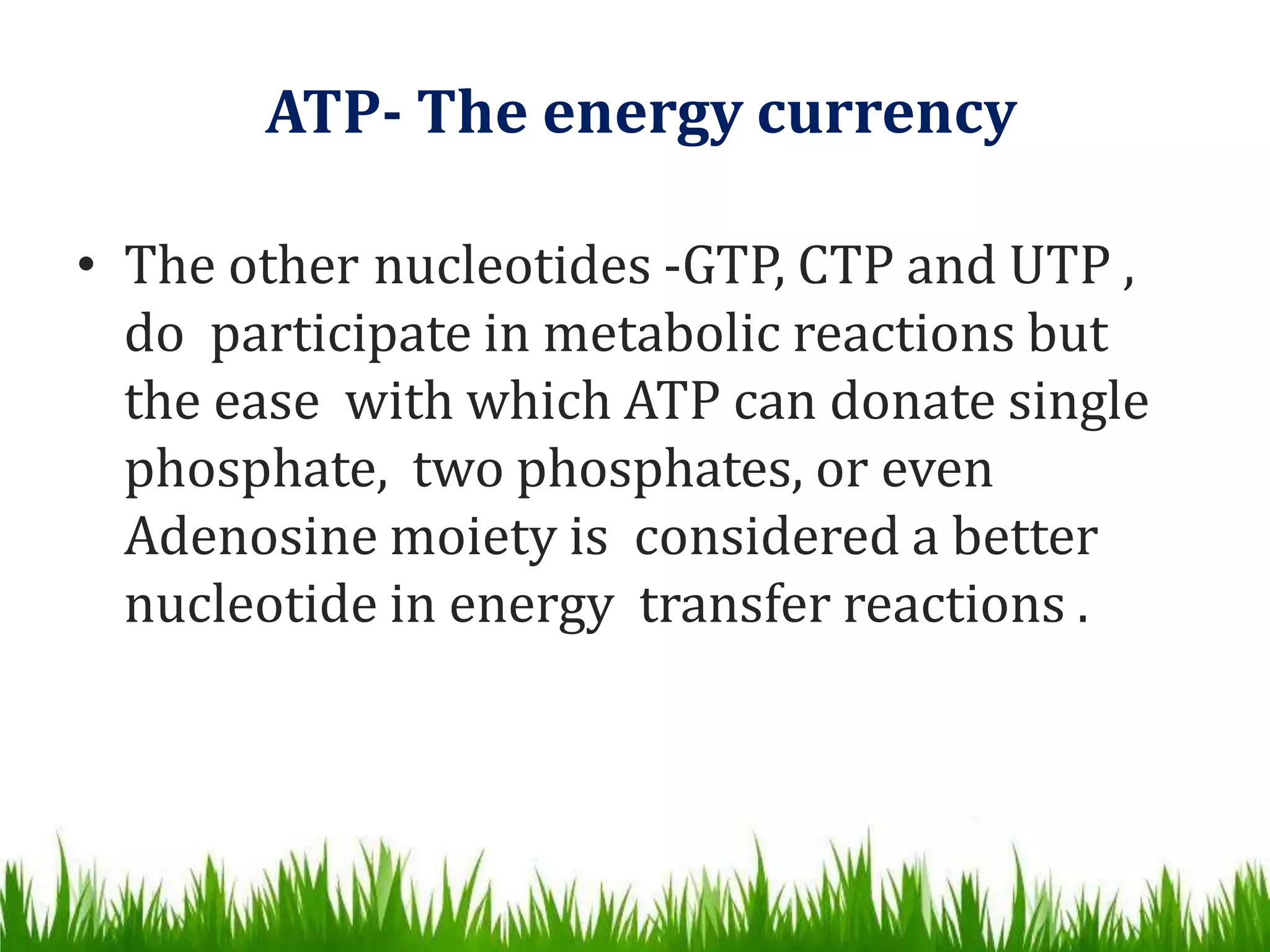FORMATION & ROLE OF ATP, CREATINE PHOSPAHTE | PPTX