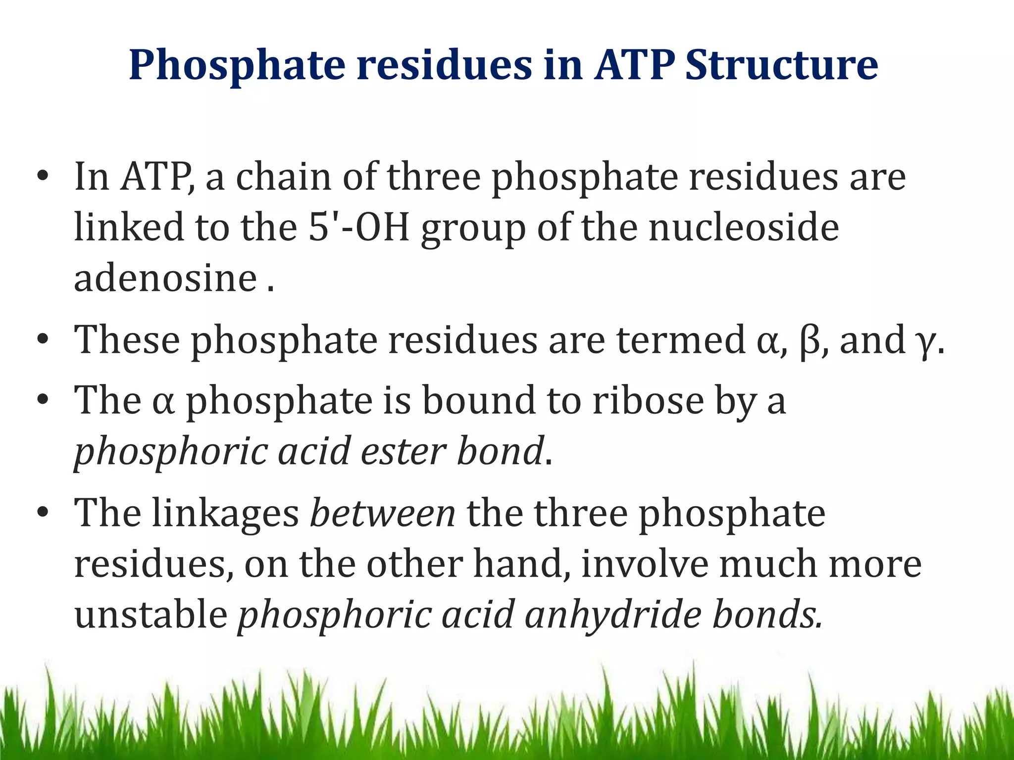 FORMATION & ROLE OF ATP, CREATINE PHOSPAHTE | PPTX