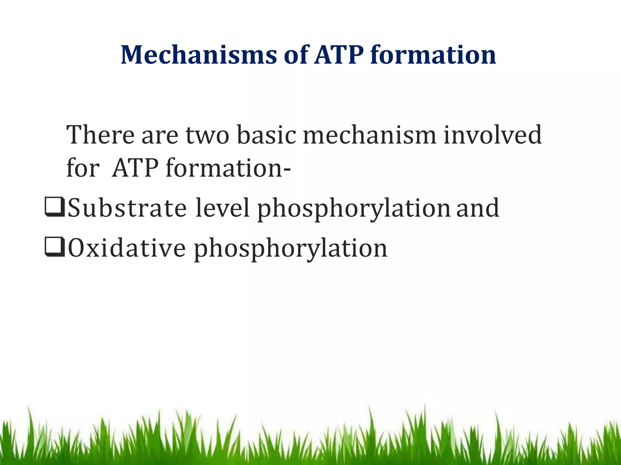FORMATION & ROLE OF ATP, CREATINE PHOSPAHTE | PPTX